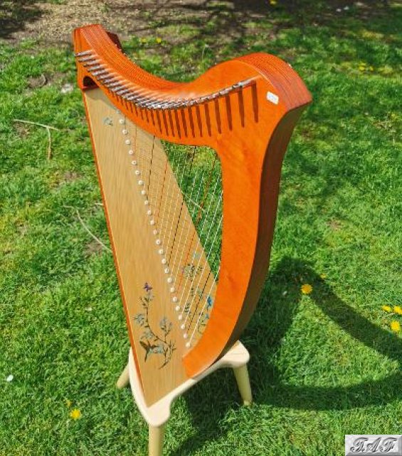 Salvi Juno 25 string Harp - Item MI-101119 for sale on SellMyHarp