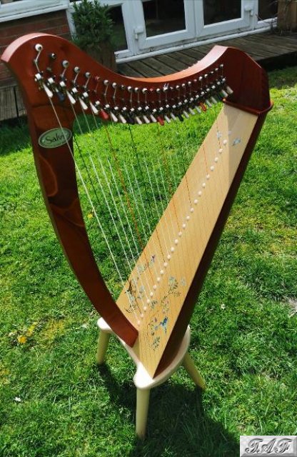 Salvi Juno 25 string Harp - Item MI-101119 for sale on SellMyHarp