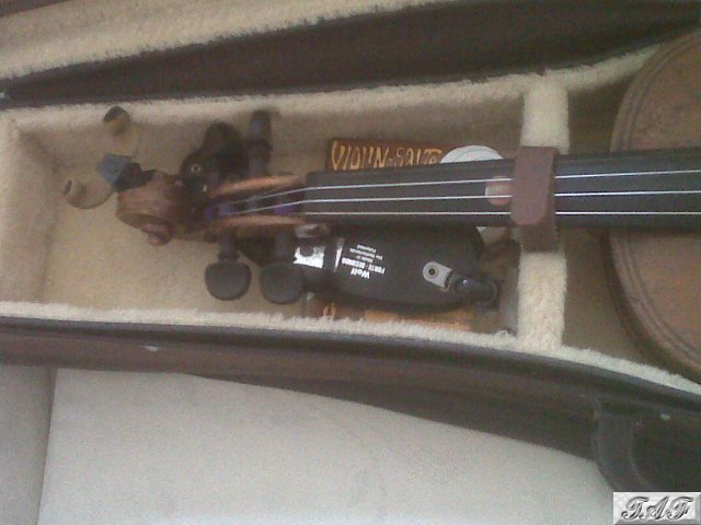 Maggini Copy Violin circa 1900 - Full size, with bow and case - Item MI ...