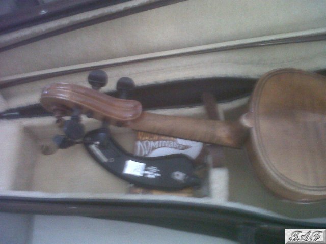 Maggini Copy Violin circa 1900 - Full size, with bow and case - Item MI ...