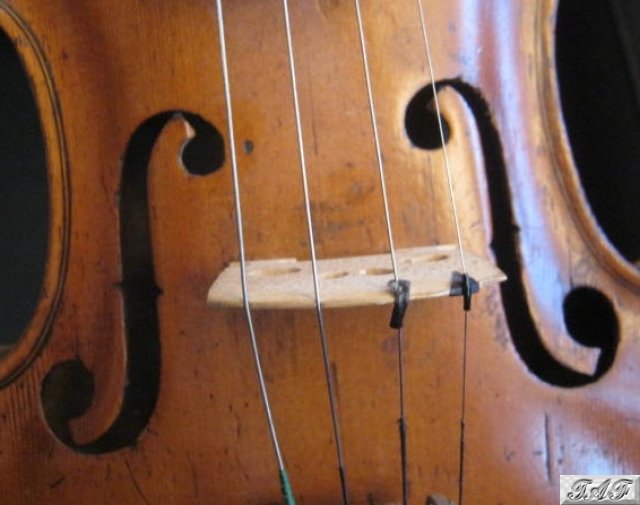 Antique Alex Murdoch Aberdeen 1850 Violin - Item MI-100242 for sale on ...
