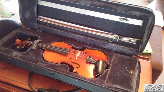 Franz Sander full size violin circa 2001 - Item MI-100752 for sale on ...