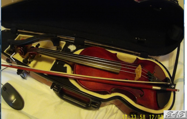 Violin by luthier Tim Phillips - Item MI-101054 for sale on SellMyViolin